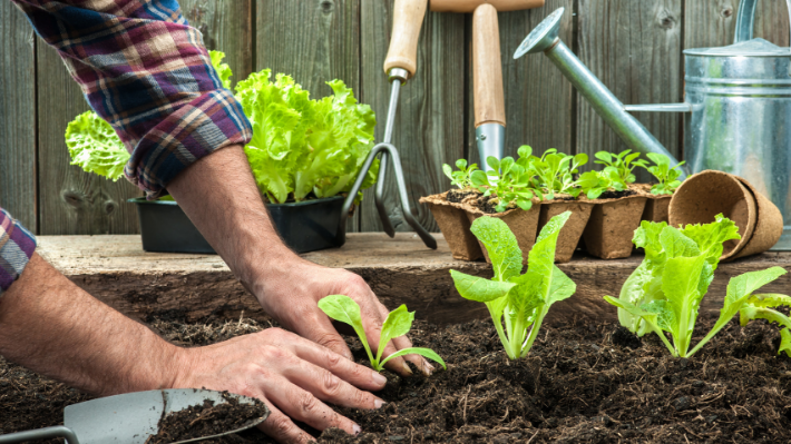 Cómo Hacer un Huerto Ecológico en casa Paso a Paso